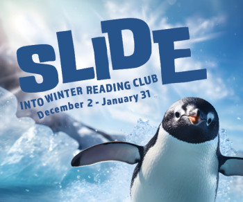 | LAKE BLUFF PUBLIC LIBRARY